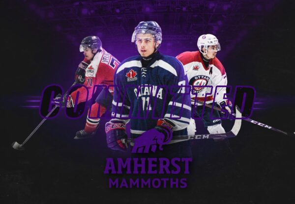 COMMITMENT ALERT | Vincent Velocci commits to NCAA DIII Amherst College ...